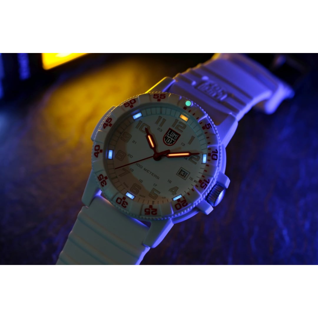 Luminox Sea Turtle Giant 0320 Series | 0327