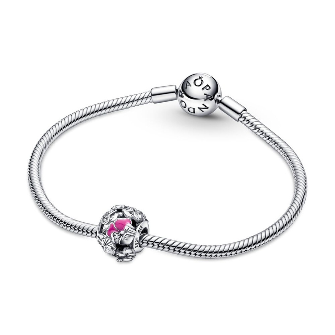 790759C01 | Pandora Moments Charm Pensées de l’Amitié