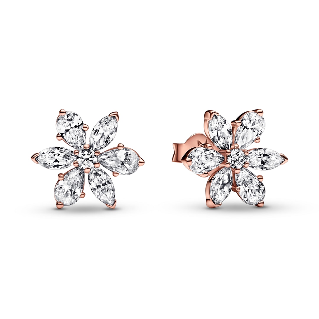 282407C01 | Pandora Rose Timeless Clous d'Oreilles Herbier Scintillant