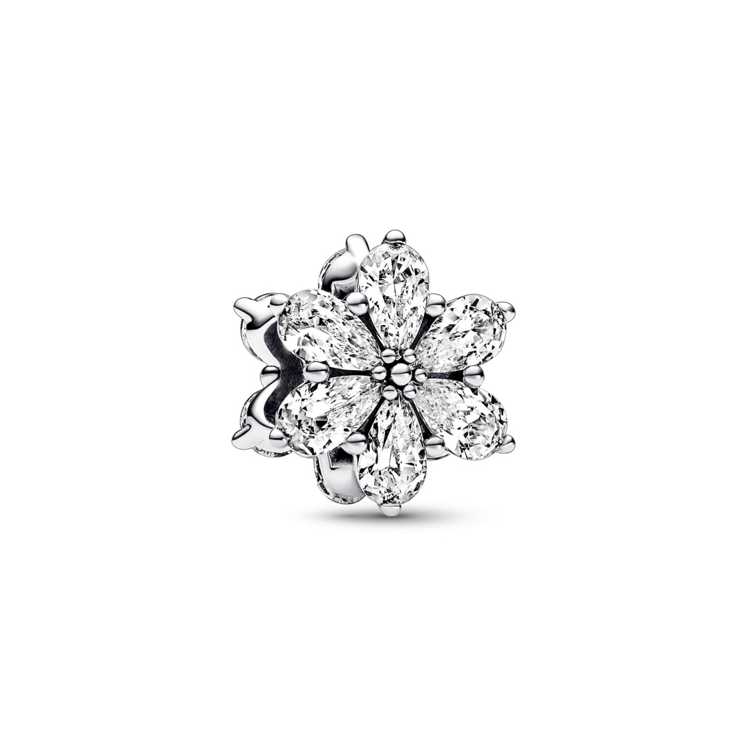 792623C01 | Pandora Moments Charm Herbier Scintillant Argent 925