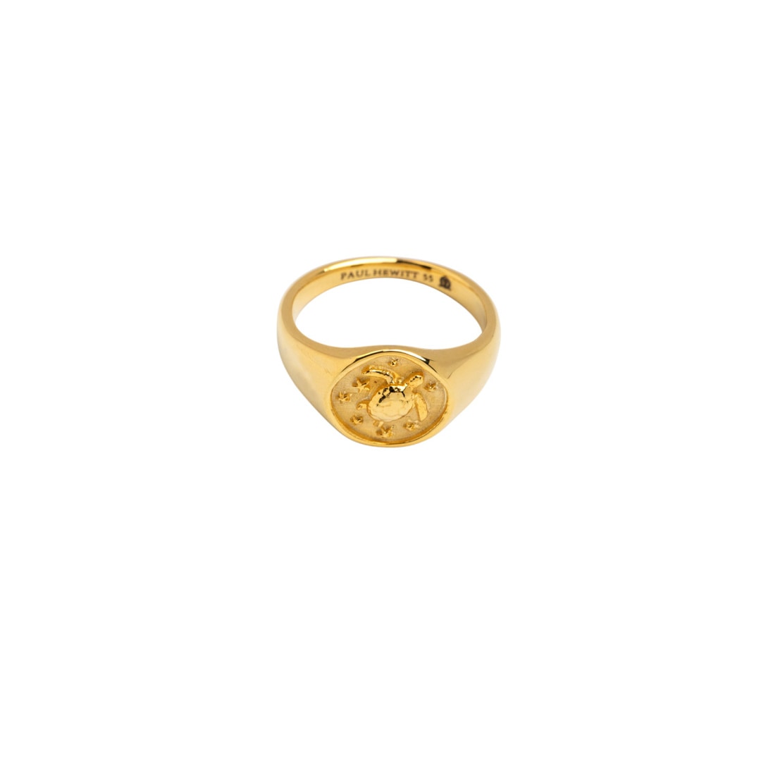 PH-JE-1883 | Paul Hewitt Turtle Signet Ring Marinium Ocean Steel Gold