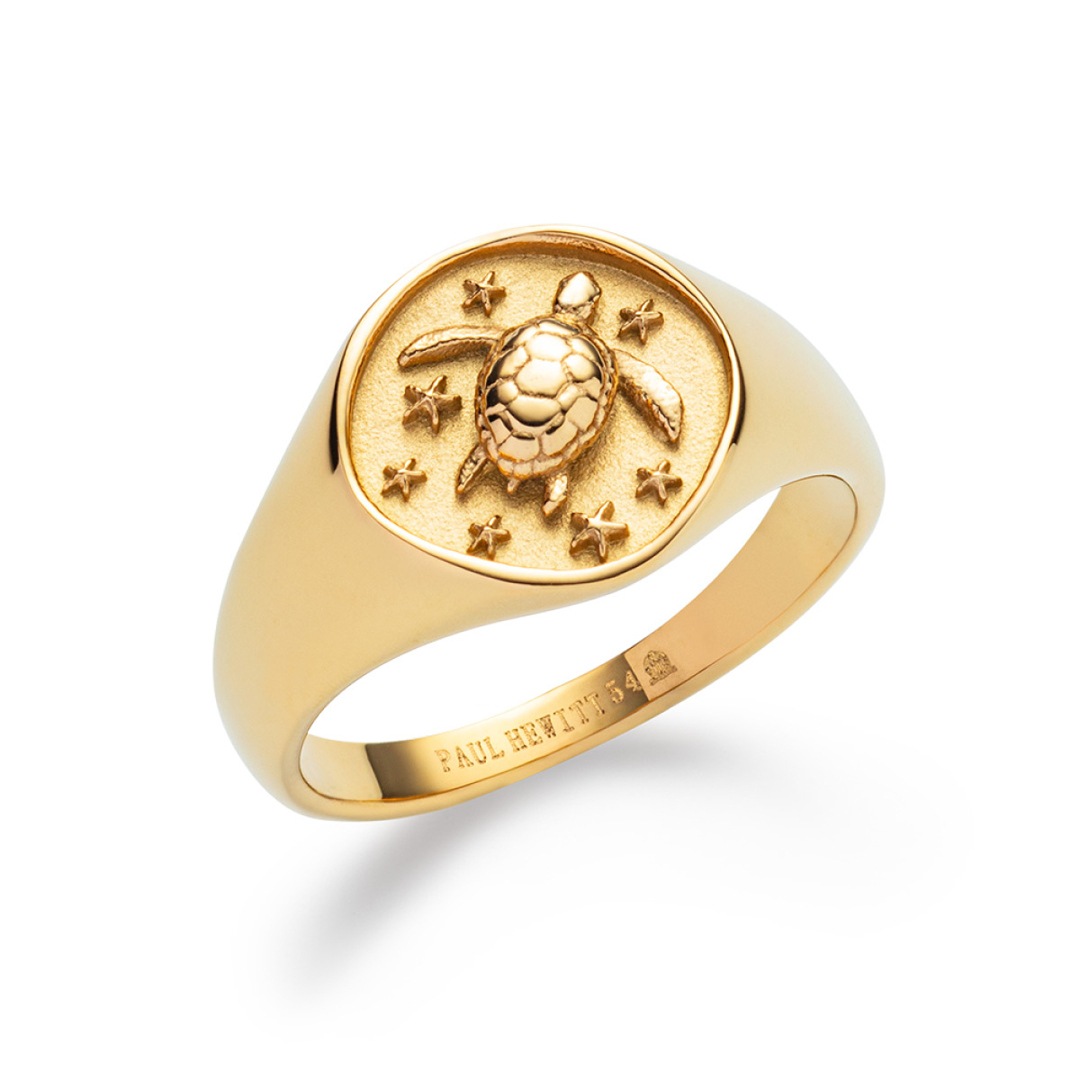 PH-JE-1883 | Paul Hewitt Turtle Signet Ring Marinium Ocean Steel Gold